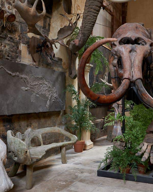 The Sad But Inspirational True Story of Rudolph the Red-Nosed Reindeer